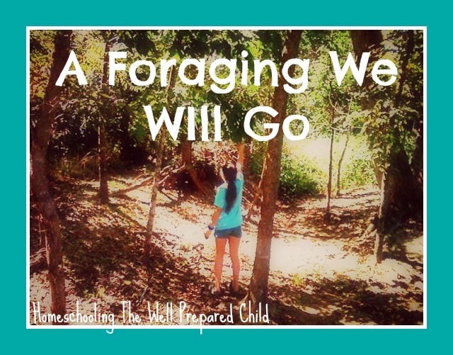 'Every thing we need to survive is in nature. Knowledge and effort are ...