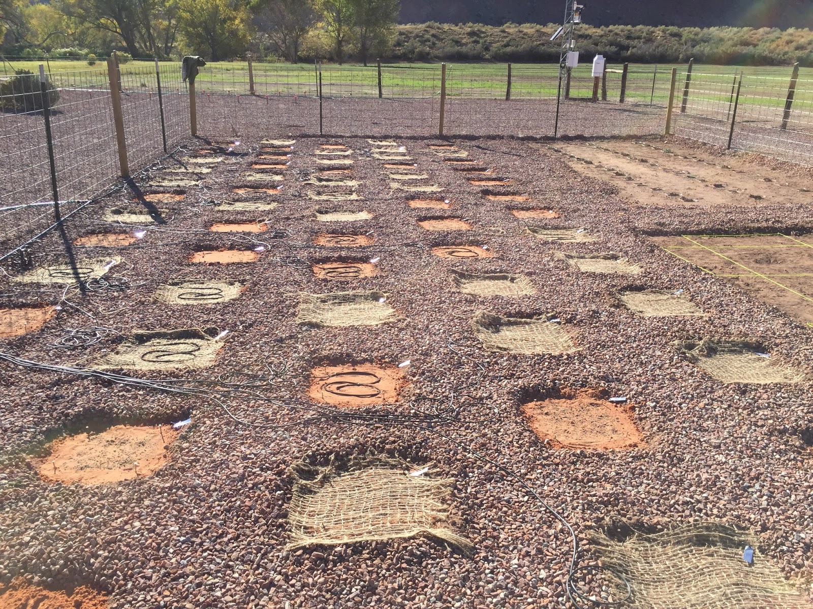 Forest-Rangeland Soil Ecology Lab: CRC Features our Biocrust ...