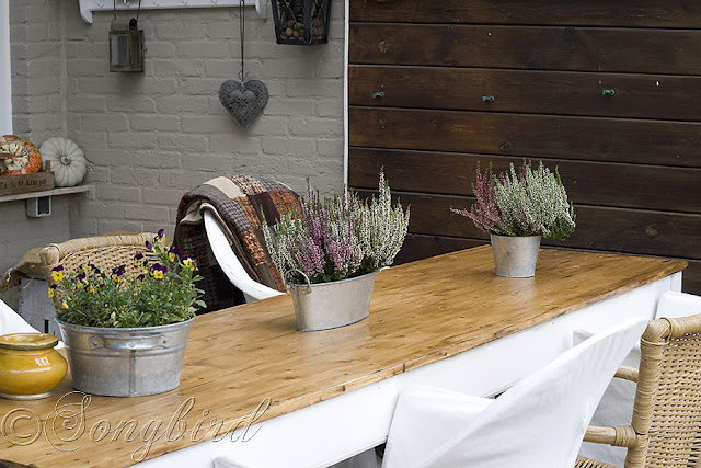 Chronicles of a Garden Table - Songbird