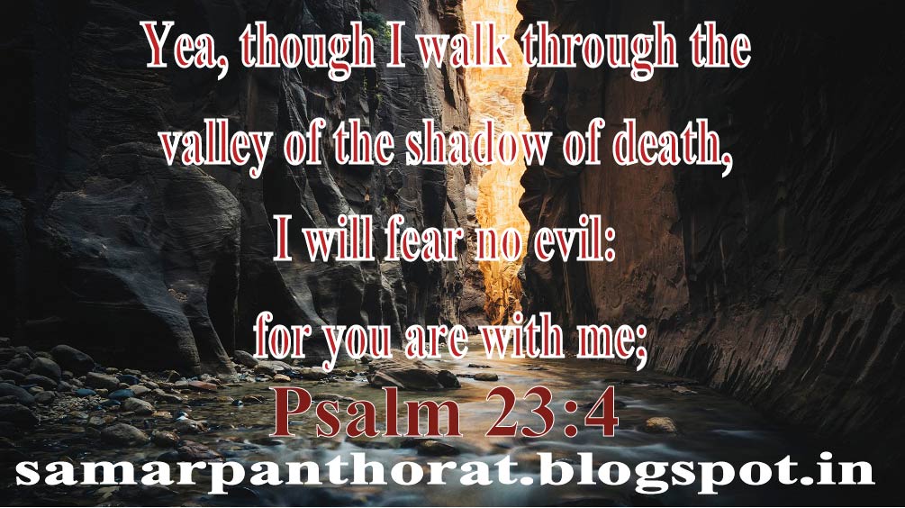 Yea, though I walk through the valley of the shadow of death, I will fear no evil: for you are ...