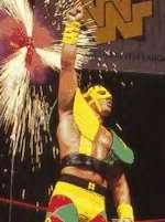 Celebrity Athlete: Aldo Montoya wwe pleayer