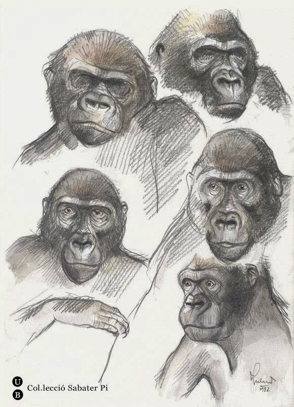 facsimilium: Sabater Pi (20th Century)