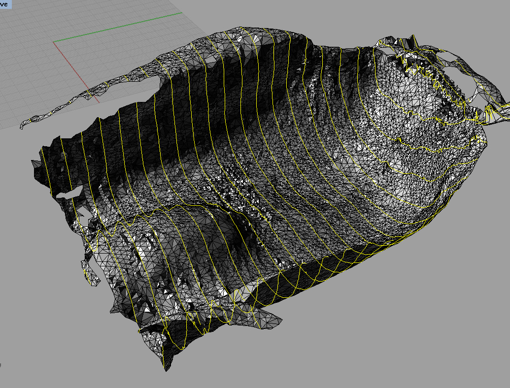 Rhino News Etc White Paper Creating An Editable Rhino Surface From Laser Scan Input rhino-news-etc-white-paper-creating-an-editable-rhino-surface-from-laser-scan-input
