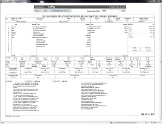 Leave and Earnings Statement