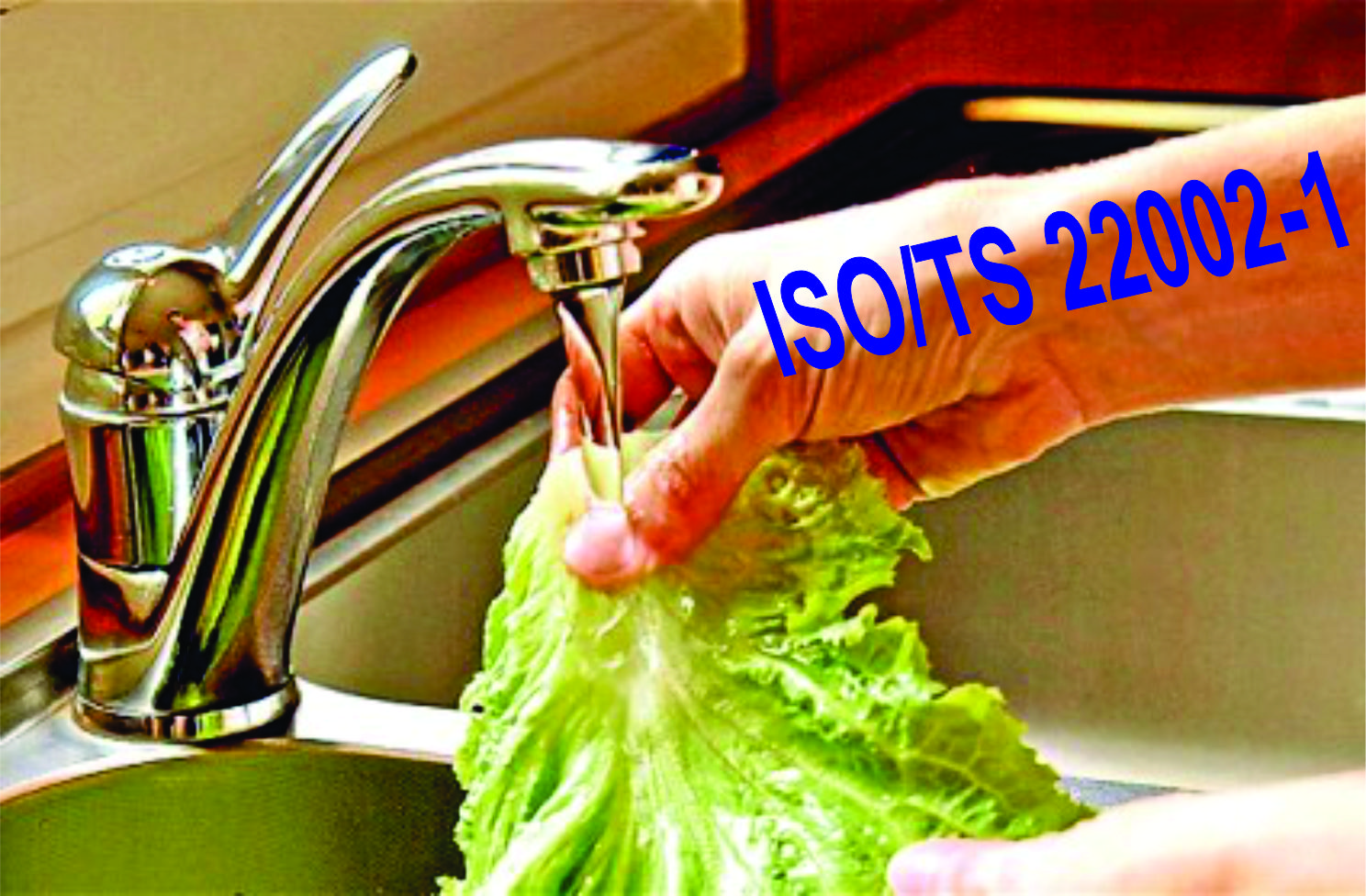 ISO/TS 22002-1 ~ Segurança dos Alimentos