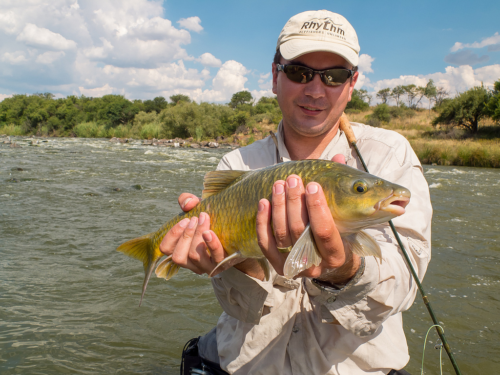 Photofisherman's Place: Yellowfish, Vaal River