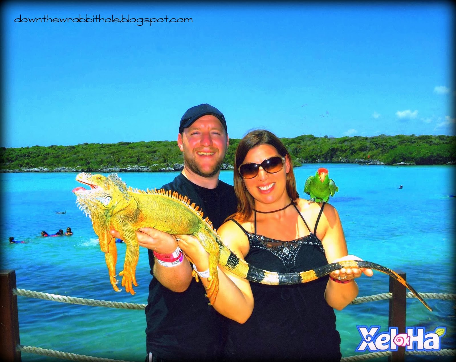 Down the Wrabbit Hole - The Travel Bucket List: Swim in a Mexican ...