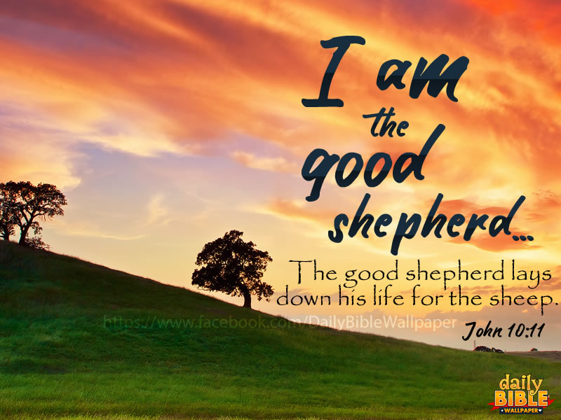I am the good shepherd | Daily Bible Wallpaper | Free Christian ...