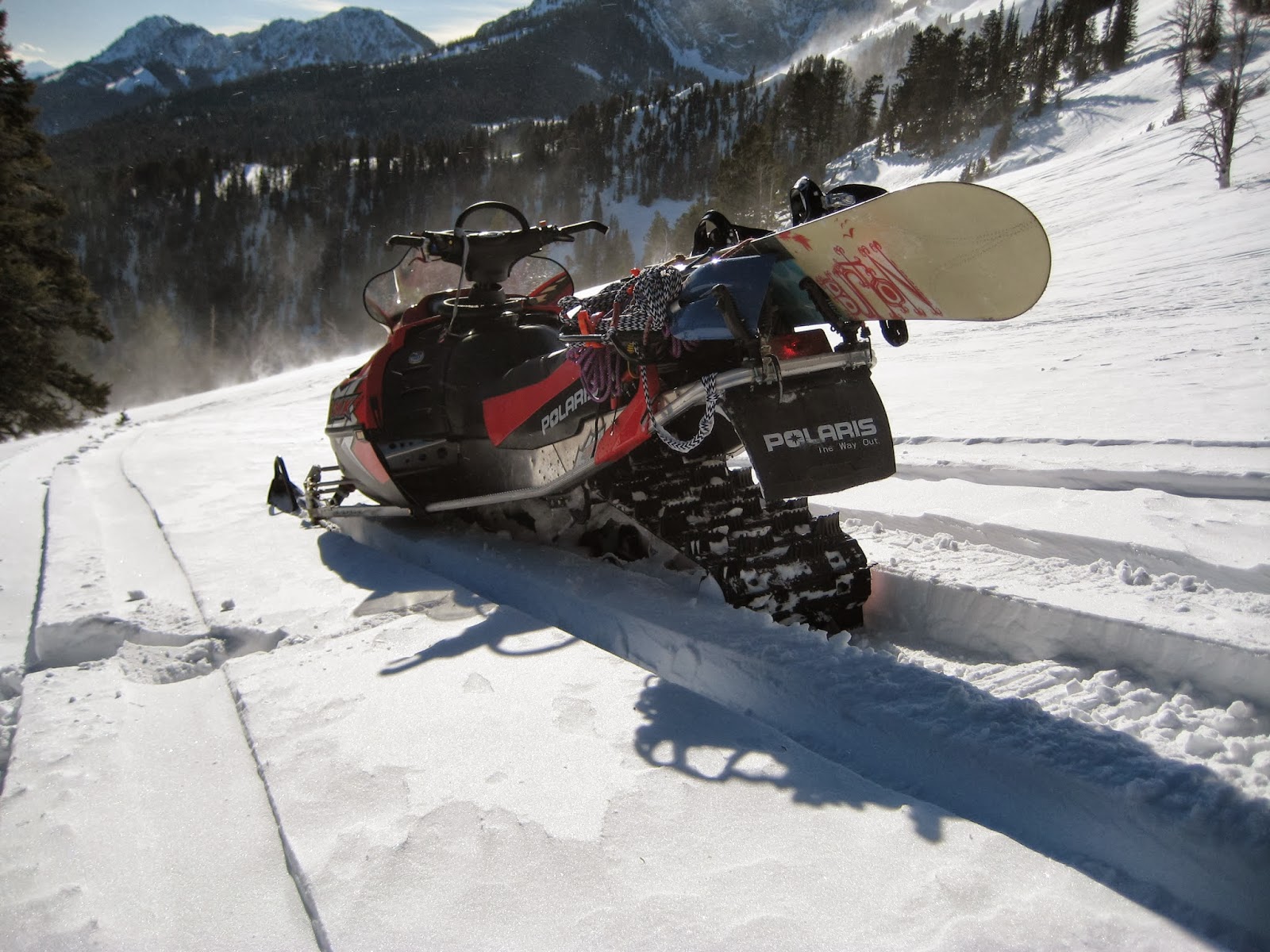 MJ HALL / MOUNTAIN BIKE / MOTORCYCLE / SNOWBOARD / SNOWMOBILE / FOUR ...