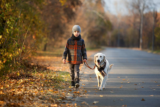 Chronicles of a Dog Trainer: Can my kids walk the dog alone?