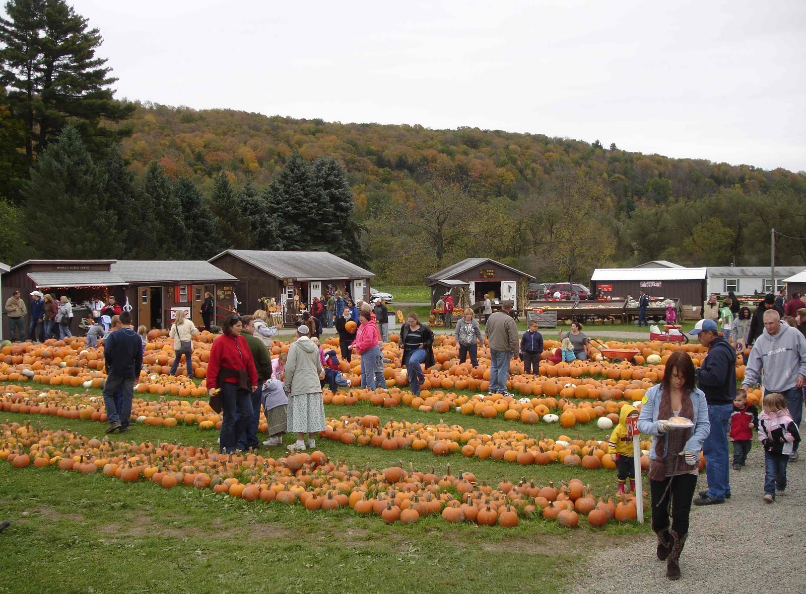 Rusted Windmill ...Relax, Play and Getaway in Ellicottville, NY ...