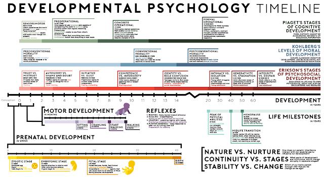 AP Psychology @AHS: 7.1:DEVELOPMENT