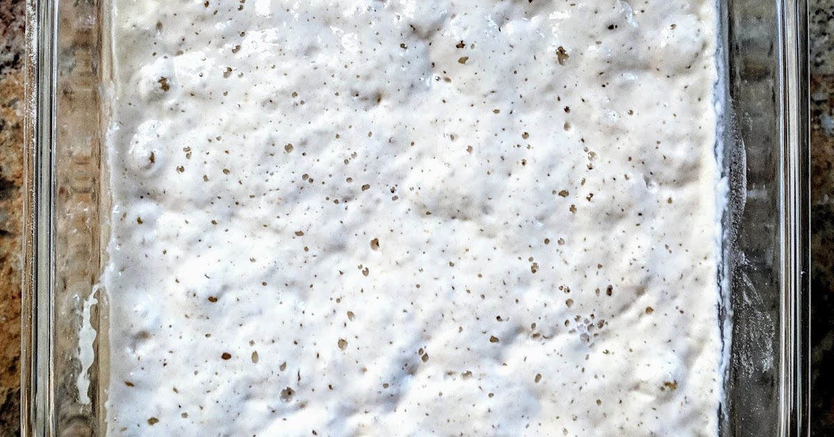 Starter | All Grains