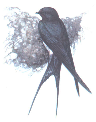 Moja słowiańska filozofia Ma philosophie slave: POGAŃSKI KRAJ ...