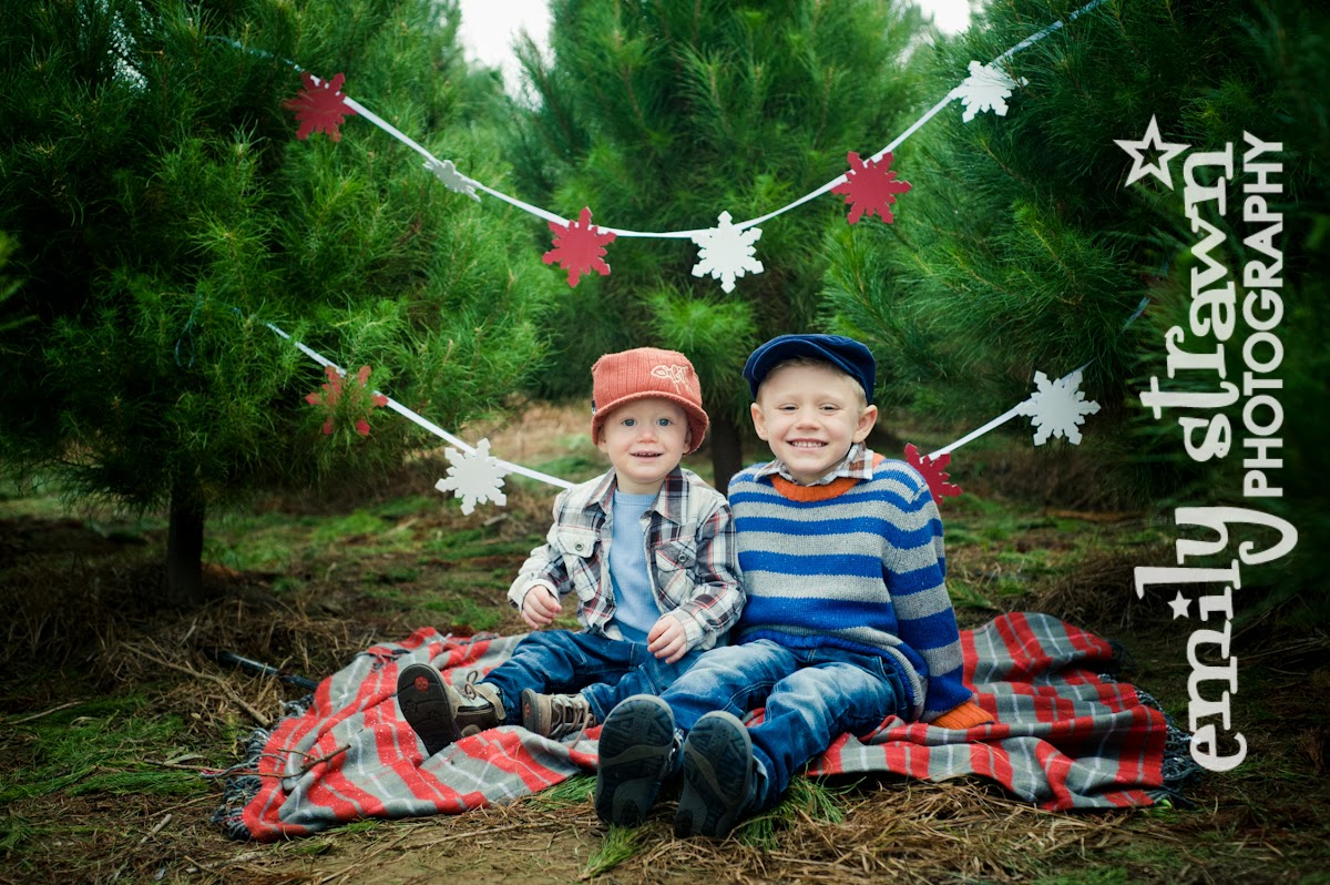 Emily Strawn Photography