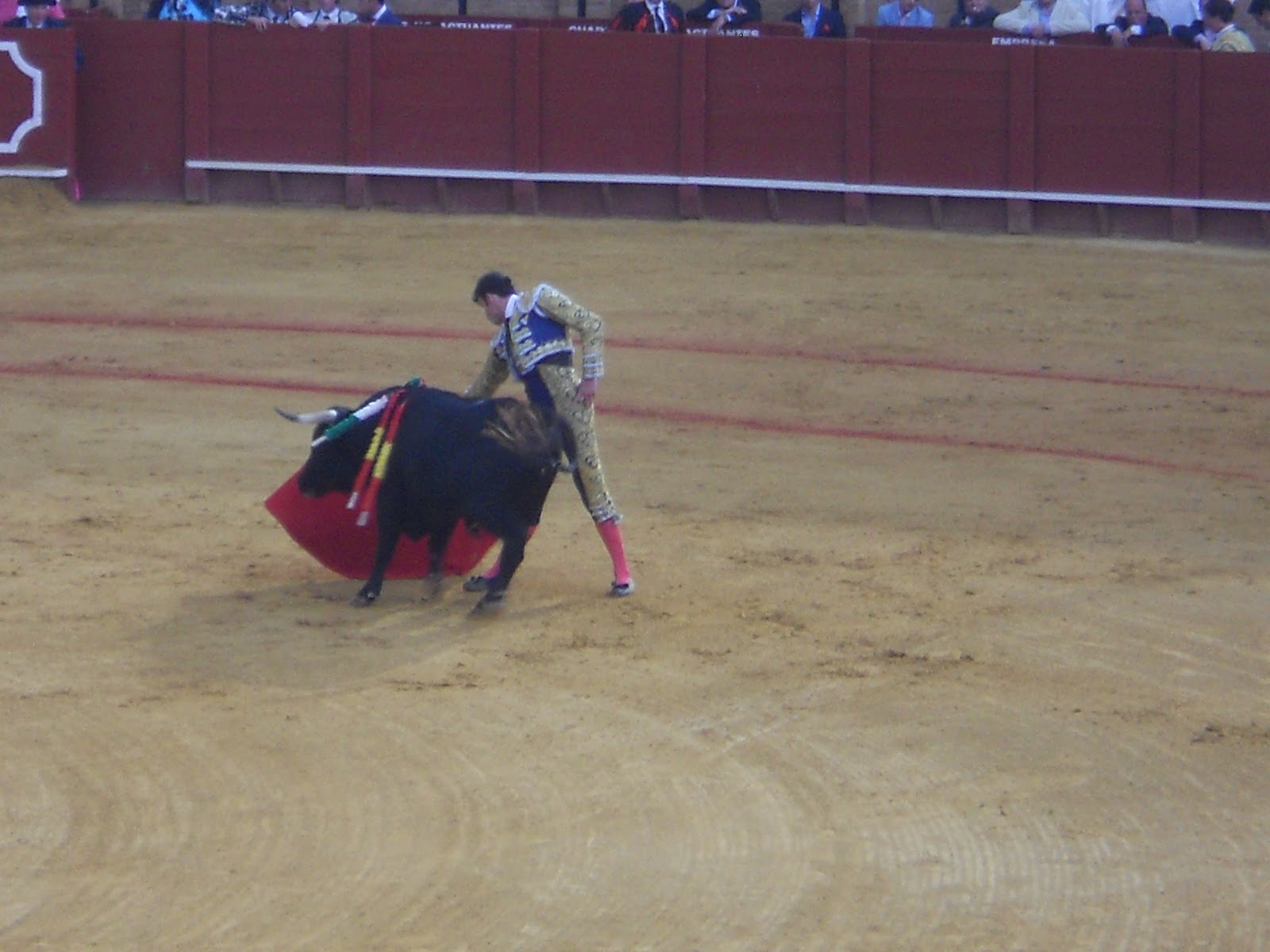 sworonoff takes spain: Bullfighters: the men who make tight pants look good