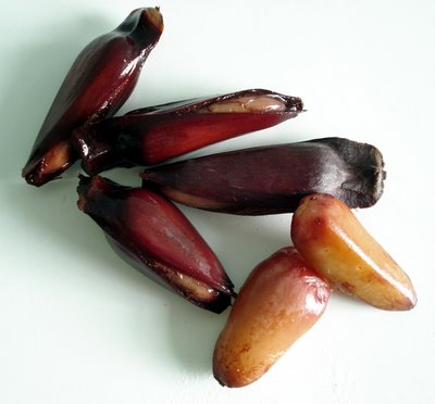 Nutrição: É época de pinhão