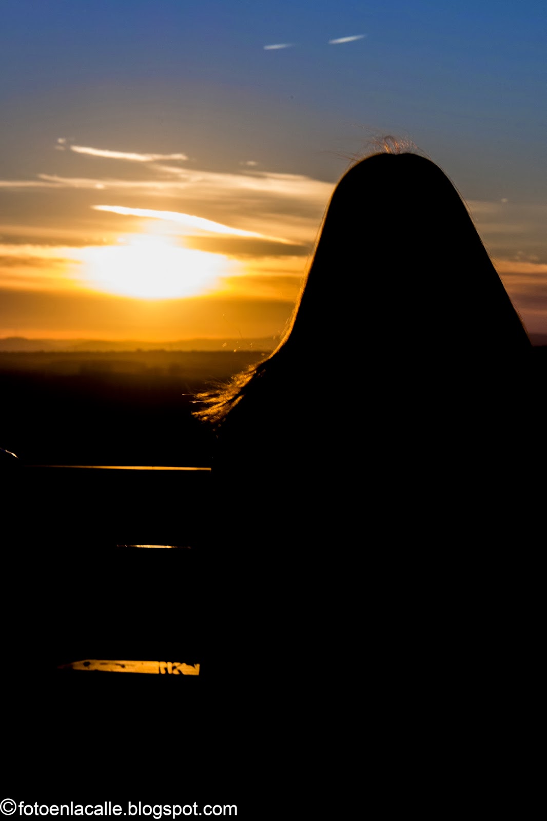 Foto en la Calle: Foto en la Calle: Contraluz