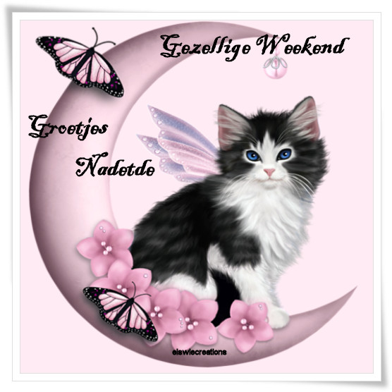 Elisa's Creations.: rabbelplaatjes Weekend(51)