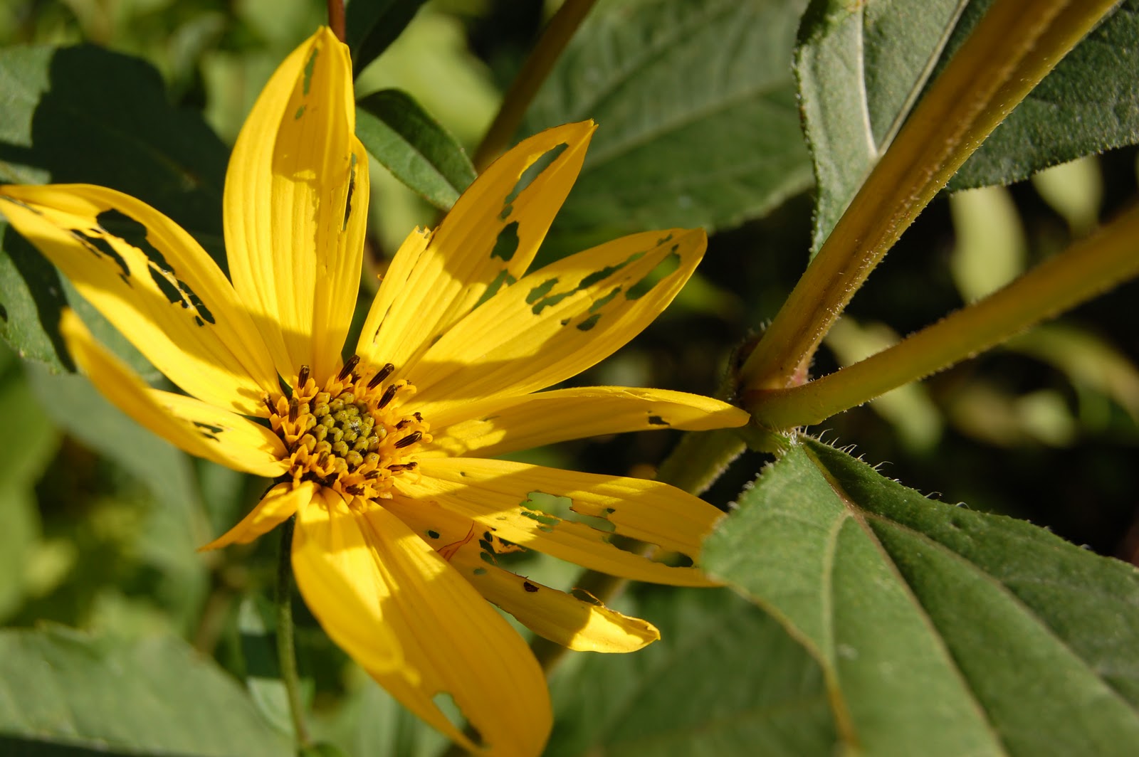 Perfect Times Photography: At one with nature....