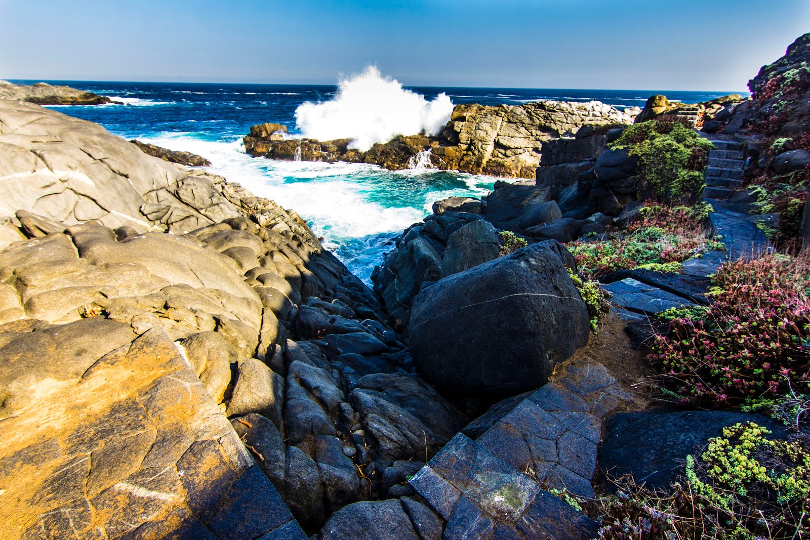 Un paseo por Punta Pite, un proyecto paisajístico de Teresa Moller ...