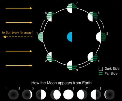 Sains Sekolah Rendah: Phases of The Moon / Fasa-Fasa Bulan