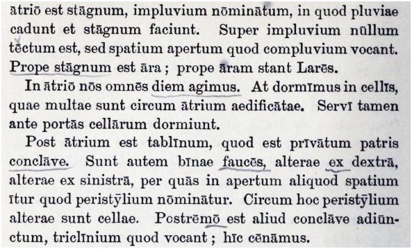 latinus grossus: 2011