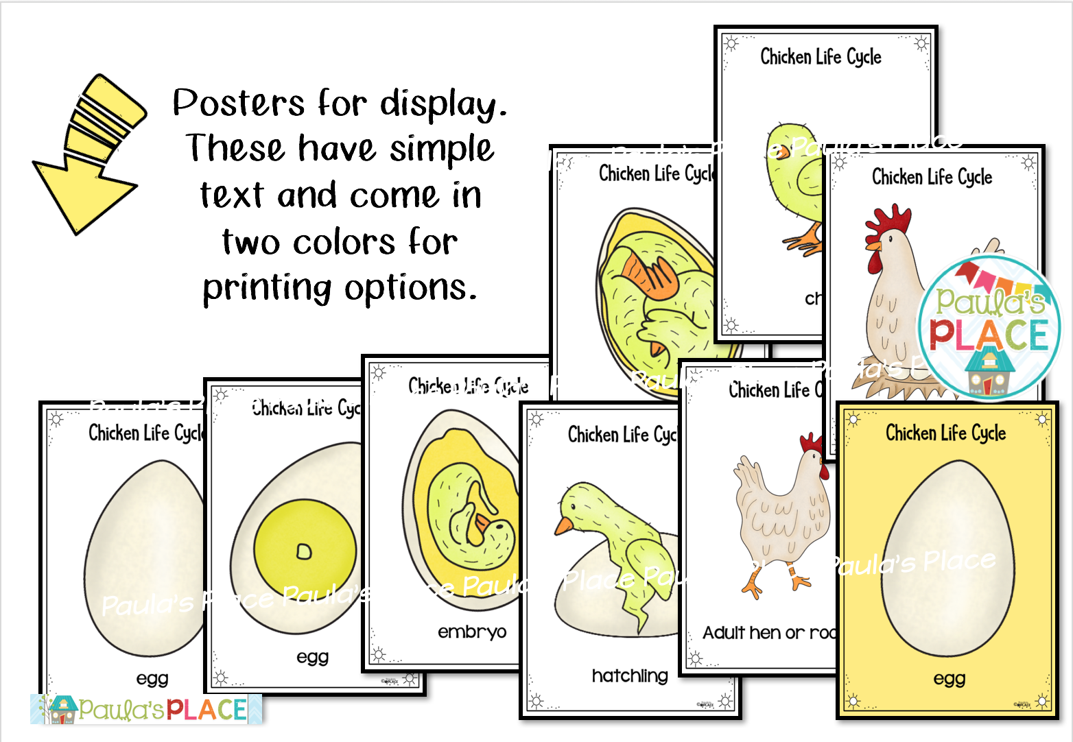Paula's Place Teaching Resources: Chicken Life Cycles