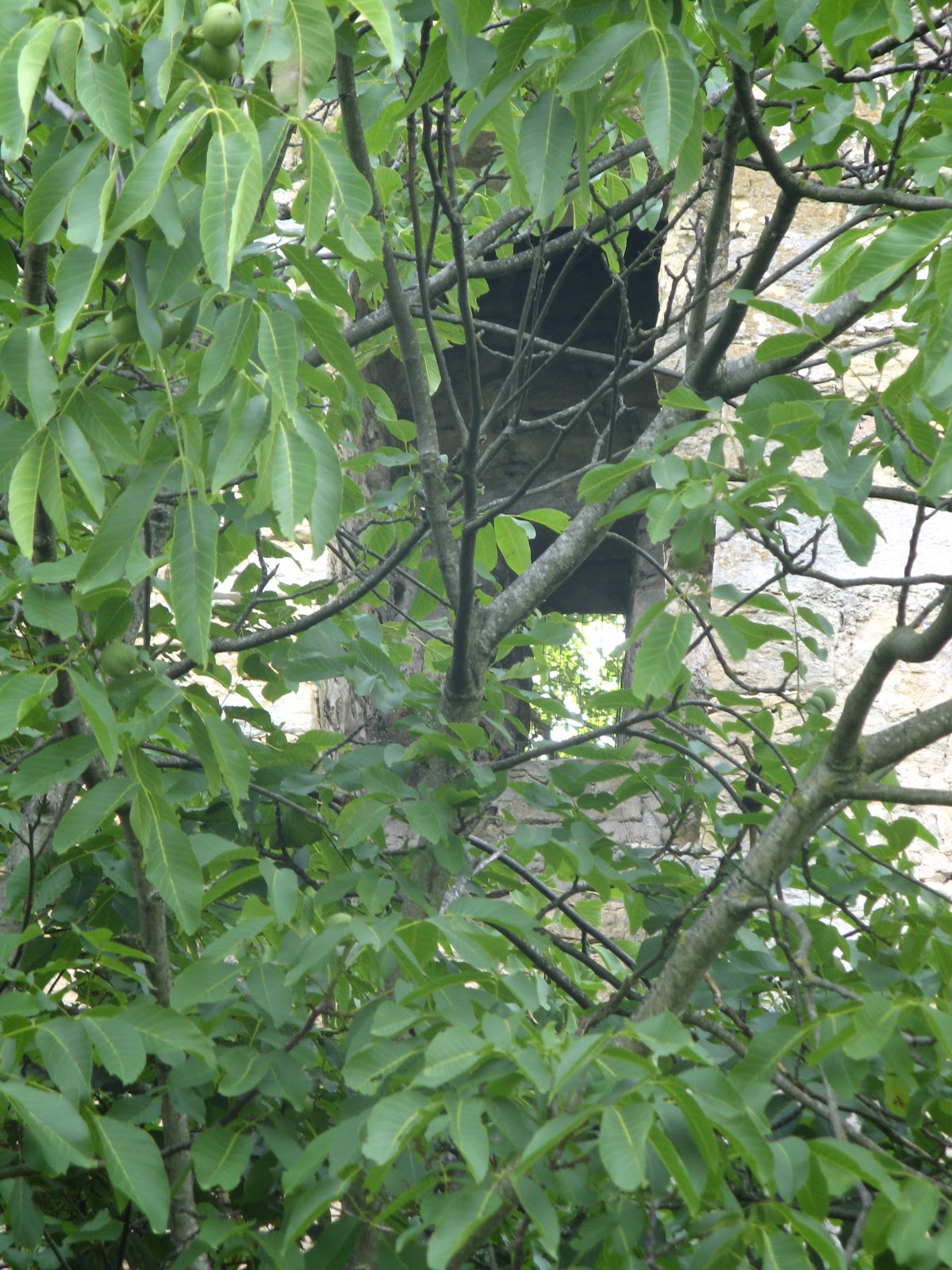 MES VIEUX CHATEAUX: Le Chateau d'Arlay