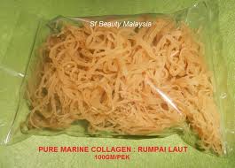 AriahJudah: Rumpai Laut