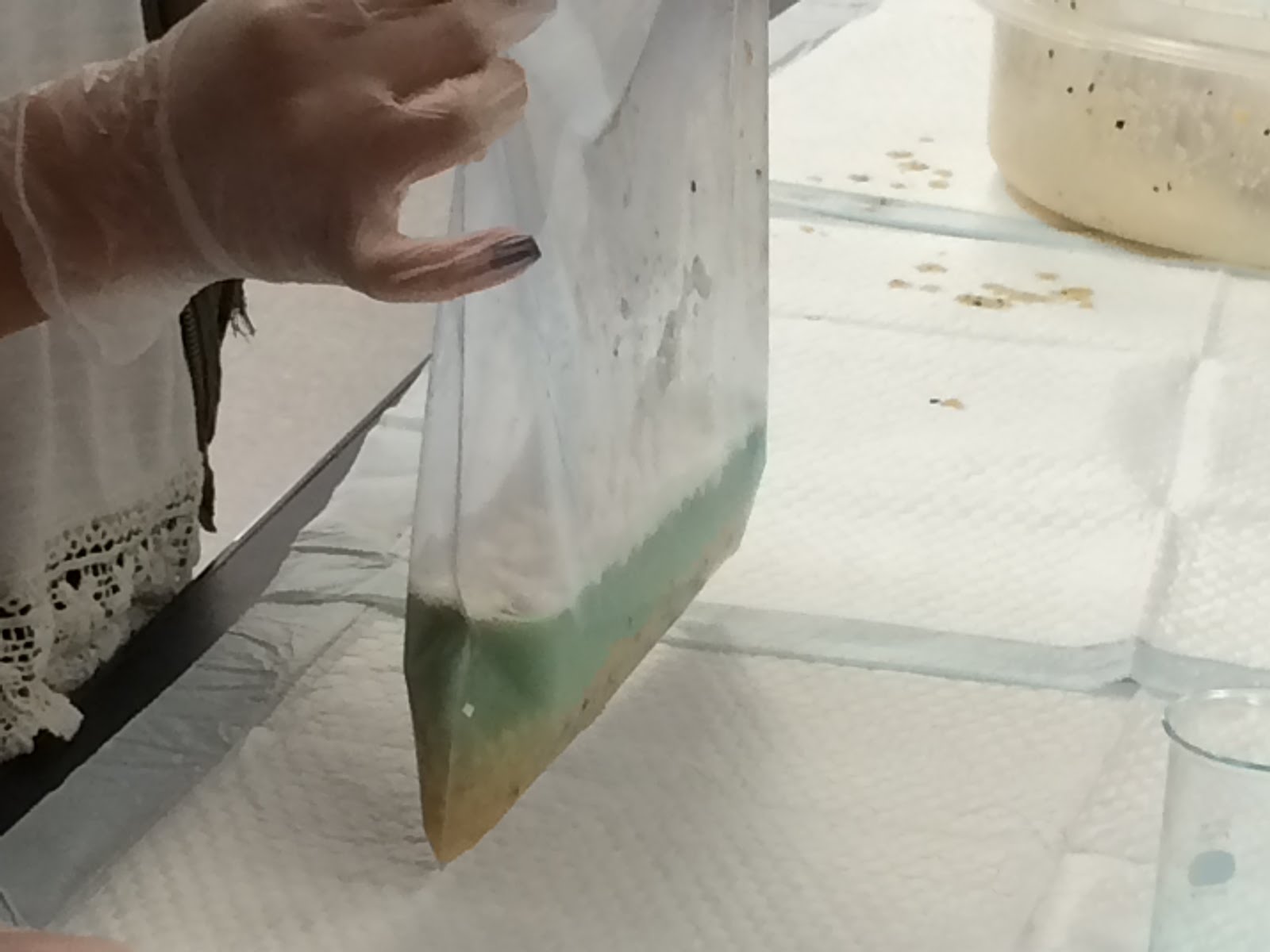 Trent Crean 2016-2017 Digital Notebook: Making Poop: A Look at the ...