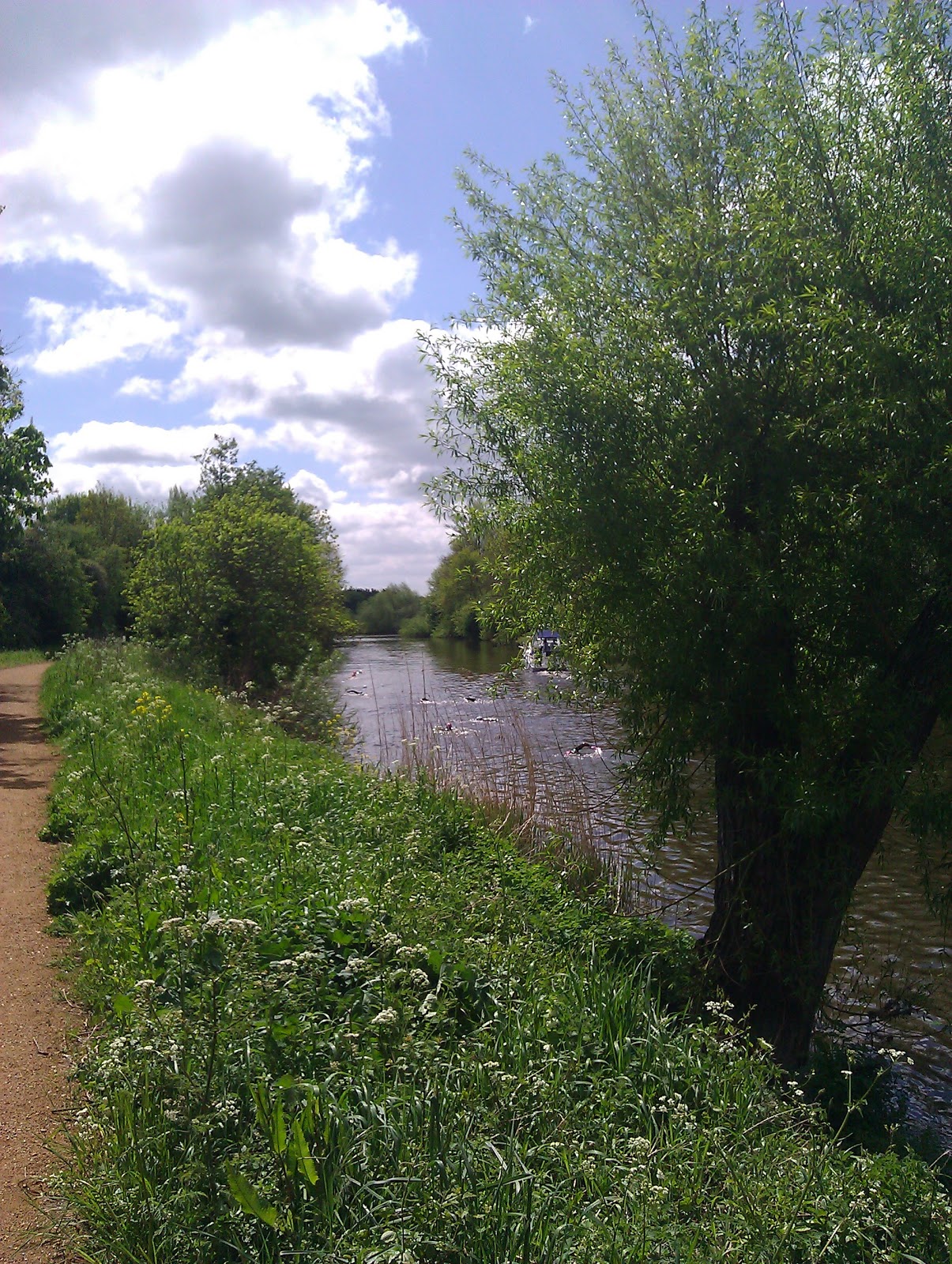 OSS Swim the Thames: Swim 46: Monkey Island to Boveney Lock