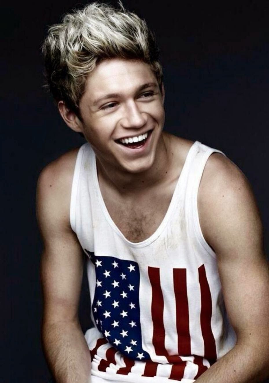 Saiba Mais - Curiosidades dos Artistas: One Direction