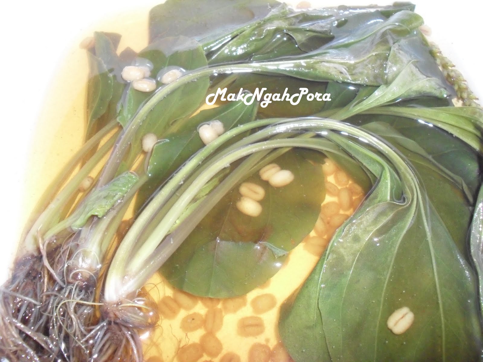 Mak Ngah Pora: Pokok Sawi Cina pelawas kencing