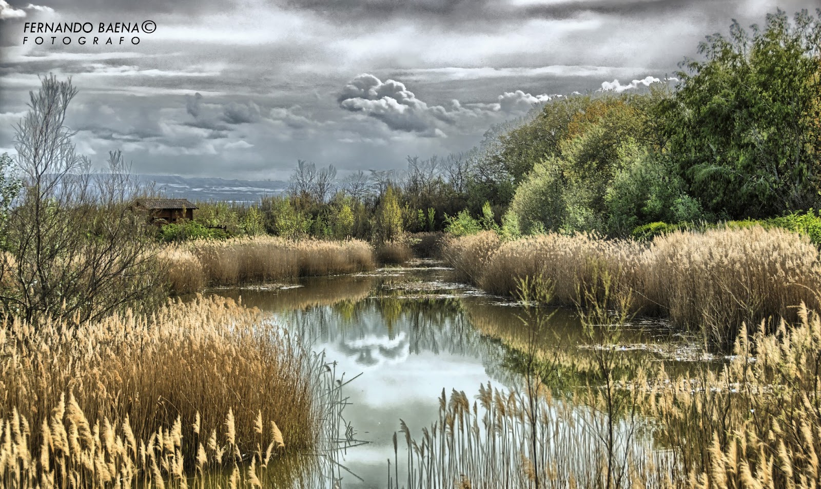 Fernando Baena, fotógrafo: Los galachos de juslibol