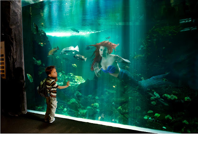 Bold, brave.. free.: Fallen Princesses por Dina Goldstein