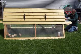 Making a Life: Chicken Ark Upgrades: Building a No-Mess, Hassle-Free Feeder