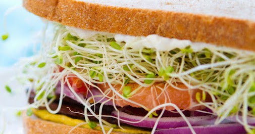 Organic.org: 10 Reasons To Eat Sprouts Daily & How To Grow Your Own