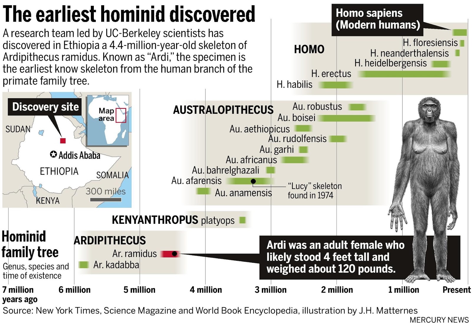 Las Civilizaciones de la Antigüedad : Proceso de Hominizacion