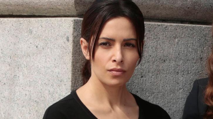 Sarah Shahi has picked her pilot. The in-demand actress has been tapped ...