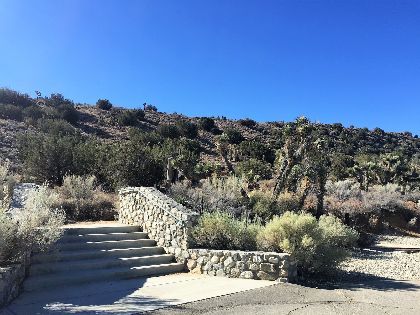 Souvenir Chronicles: VALYERMO, CALIFORNIA: ST. ANDREW'S ABBEY AND A ...