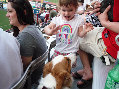 The Chronicles of Cardigan: My Dogs 'Drew' Straws and Jon Farleigh Won ...
