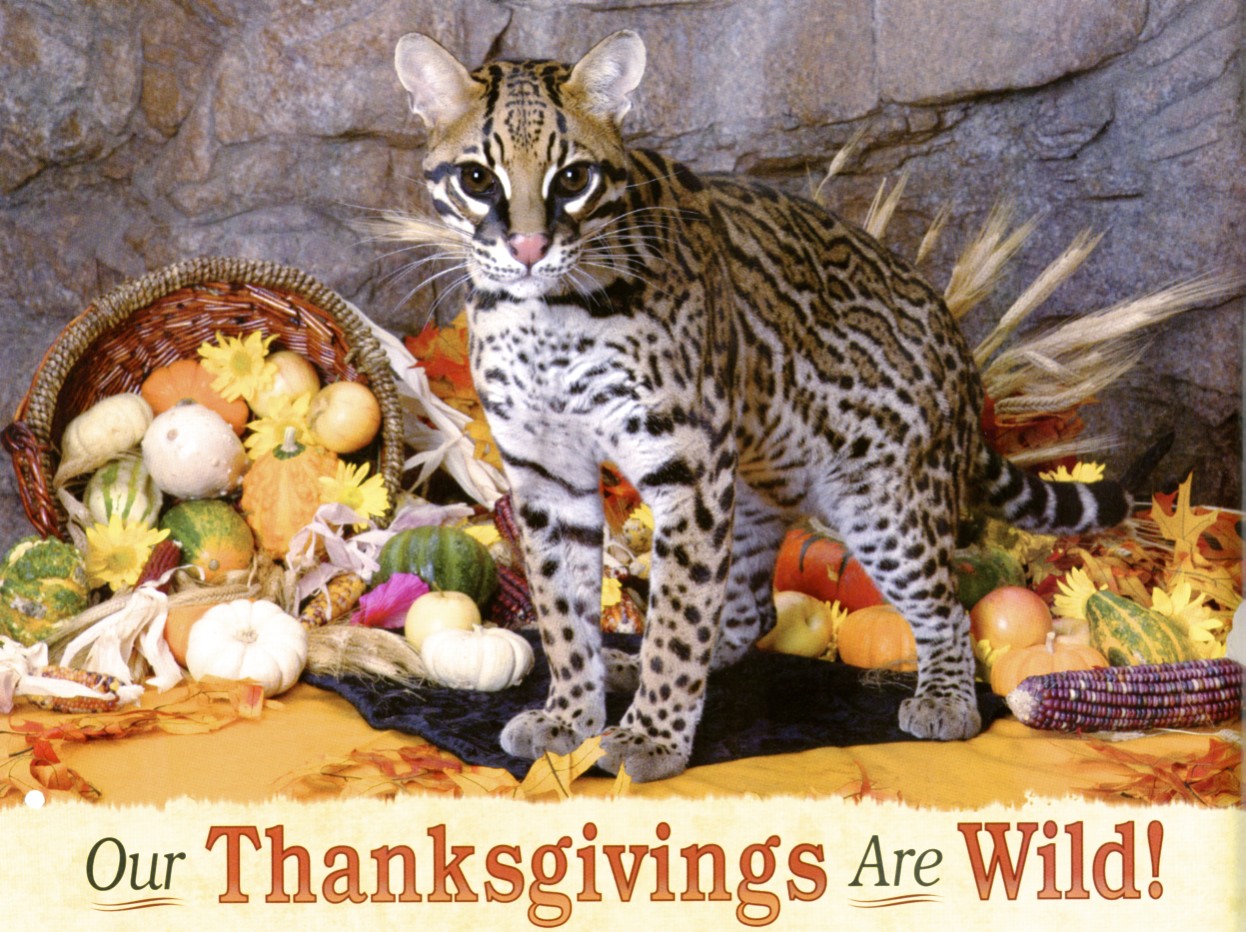 Antelope Valley College Blog: Thanksgiving, 1945