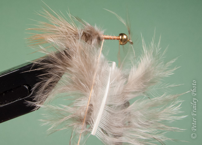 Fishing With Flies :: Blog: Step-by-steps for the "One Feather Fly"