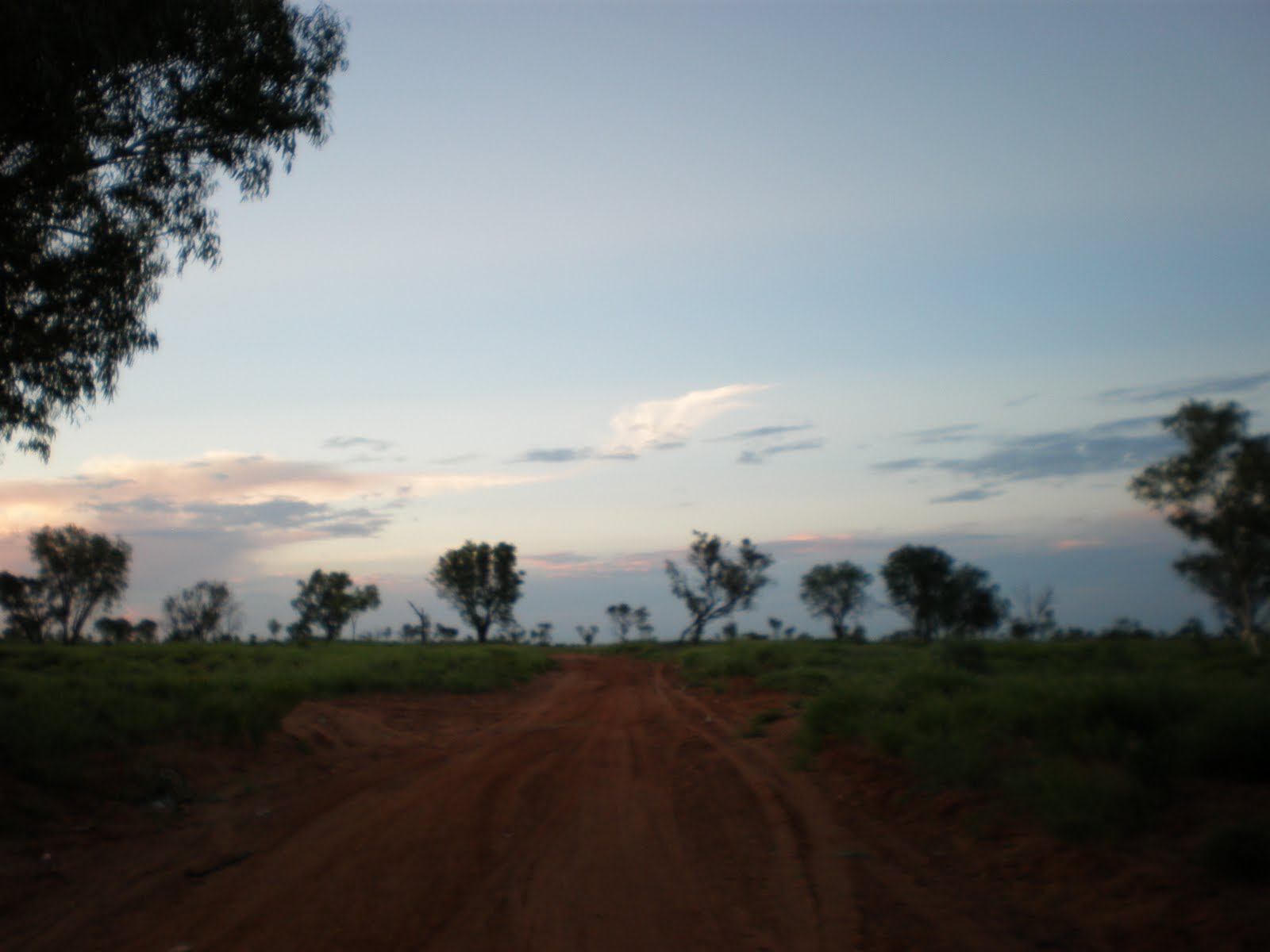 Love must be sincere: Willowra Blues