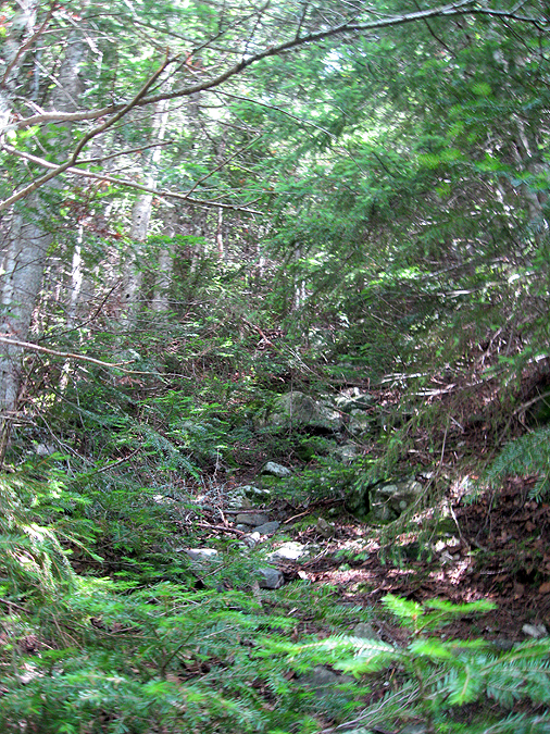 Hiking in the White Mountains: The Abandoned Adams Slide Trail