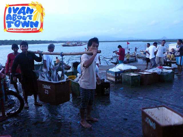 Camarines Norte: Island-hopping in Apuao, Apuao Grande & Caringo in ...