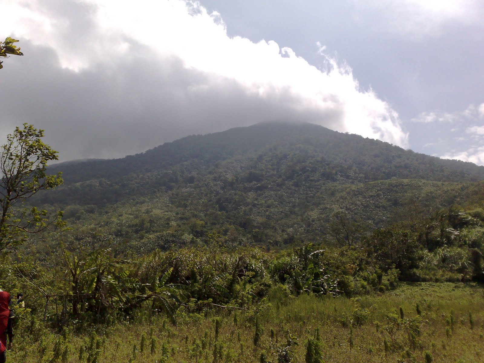 Lakbay LENTE: Mt. Cristobal, The Devil's Mountain