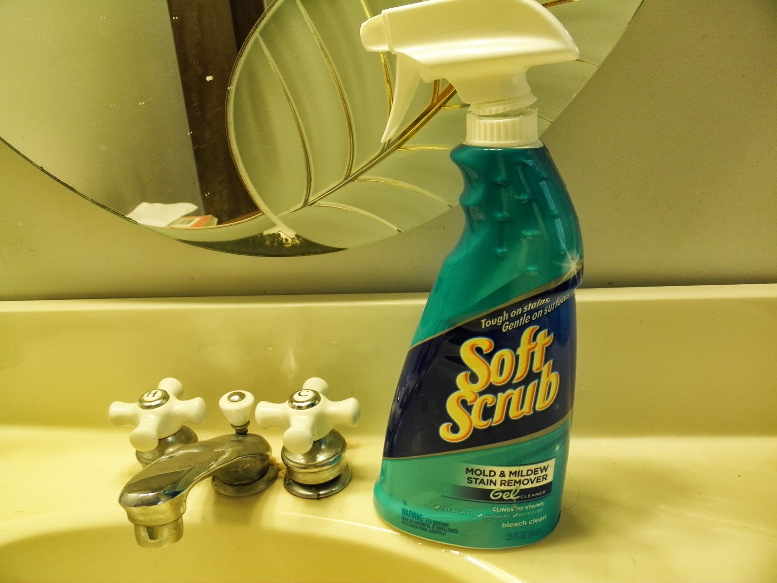 Sophie and Momma: Soft Scrub: Mold & Mildew Stain Remover Gel Review