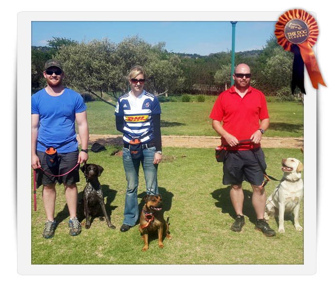 Training ~ The Dog Academy